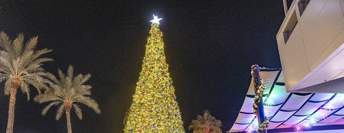 4 Places To See Holiday Tree Lighting In Arizona - Vestis Group